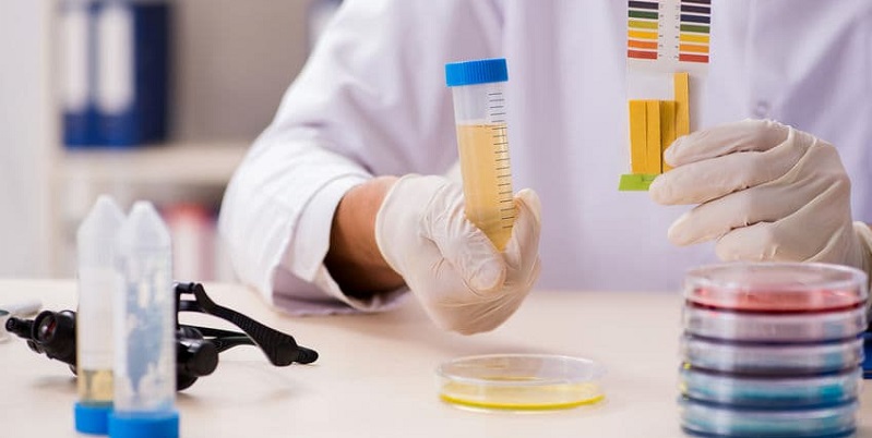 安全数据表SDS编写- 科睿检测